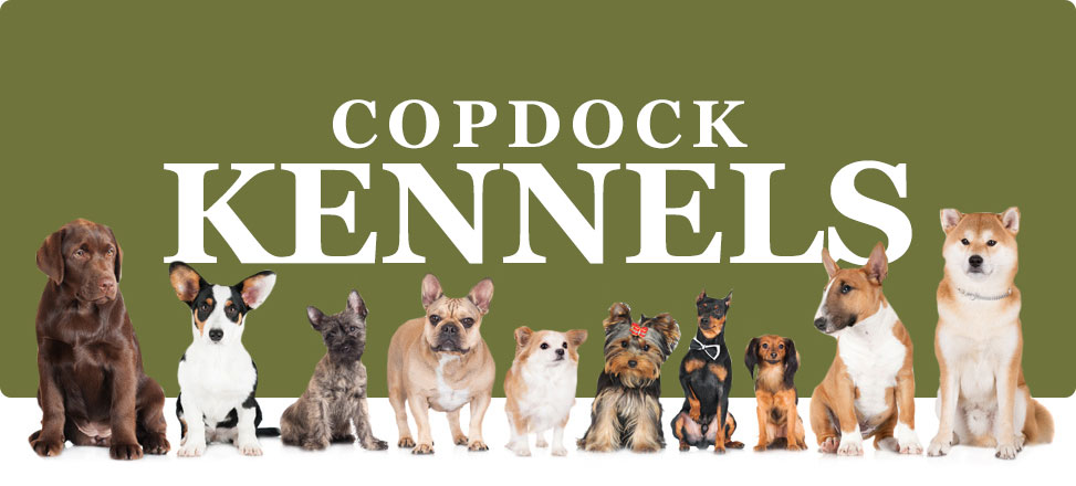 Suffolk Kennels and Cattery - Copdock Kennels and Cattery Ipswich